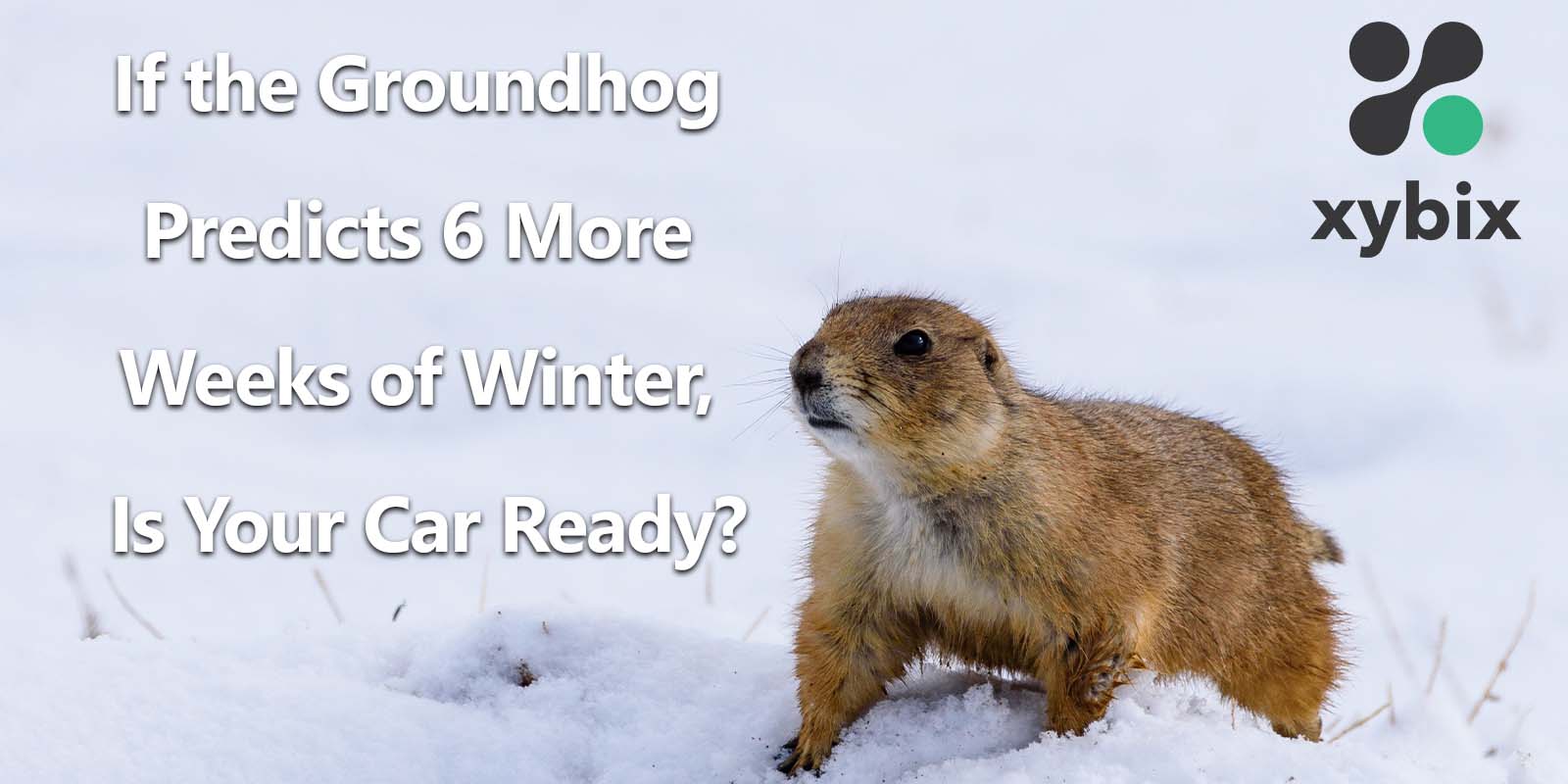 If the Groundhog Predicts 6 More Weeks of Winter, Is Your Car Ready?